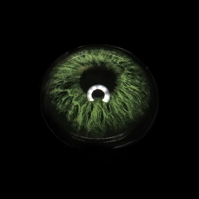 Eye Meet Rococo Encounter Colored Contact Lenses – Mecoeye